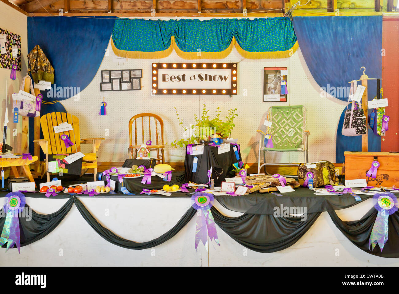 Best Of Show 4H Club display, Fonda Fair, Montgomery County, New York ...