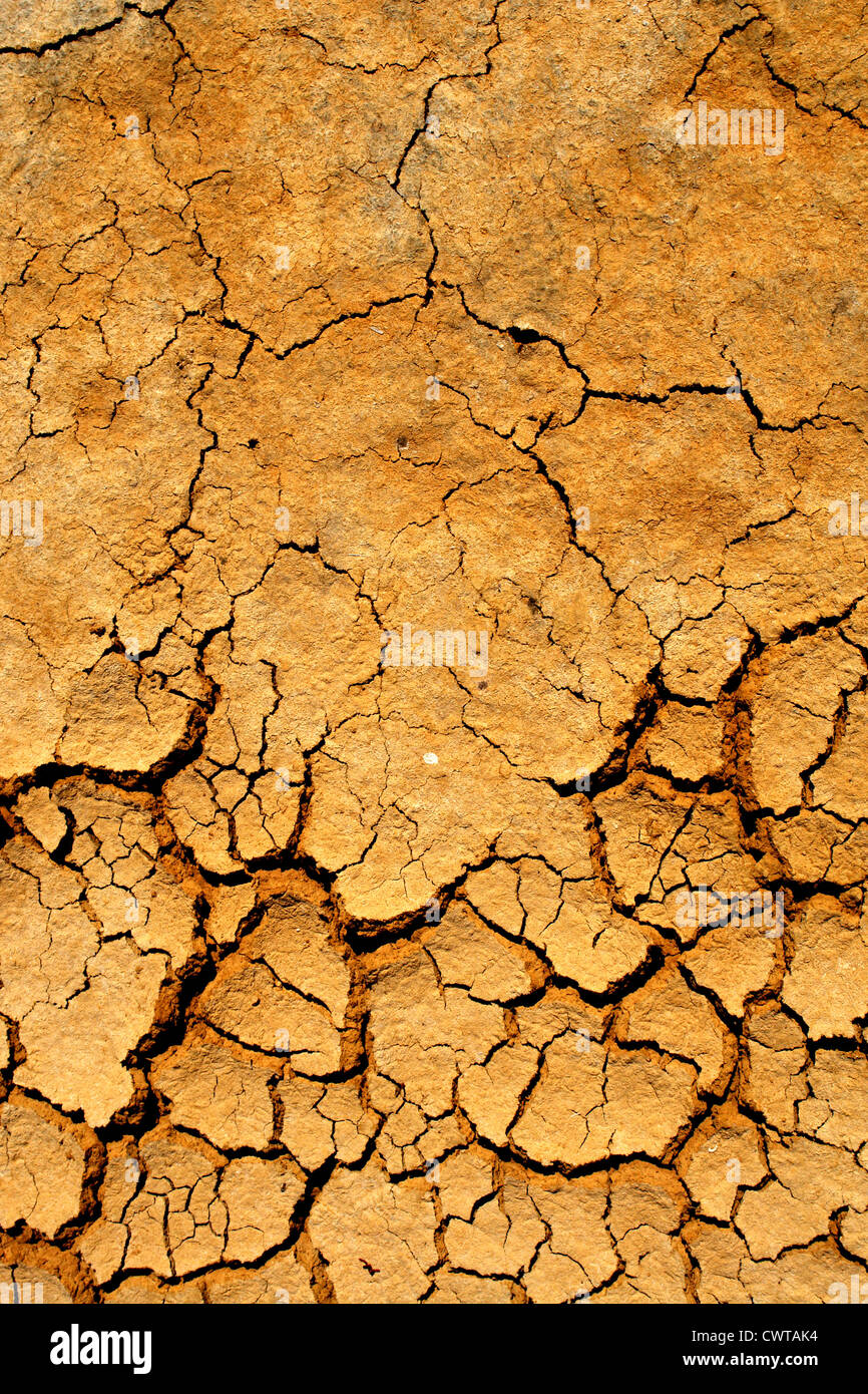 Dry soil detail Stock Photo - Alamy