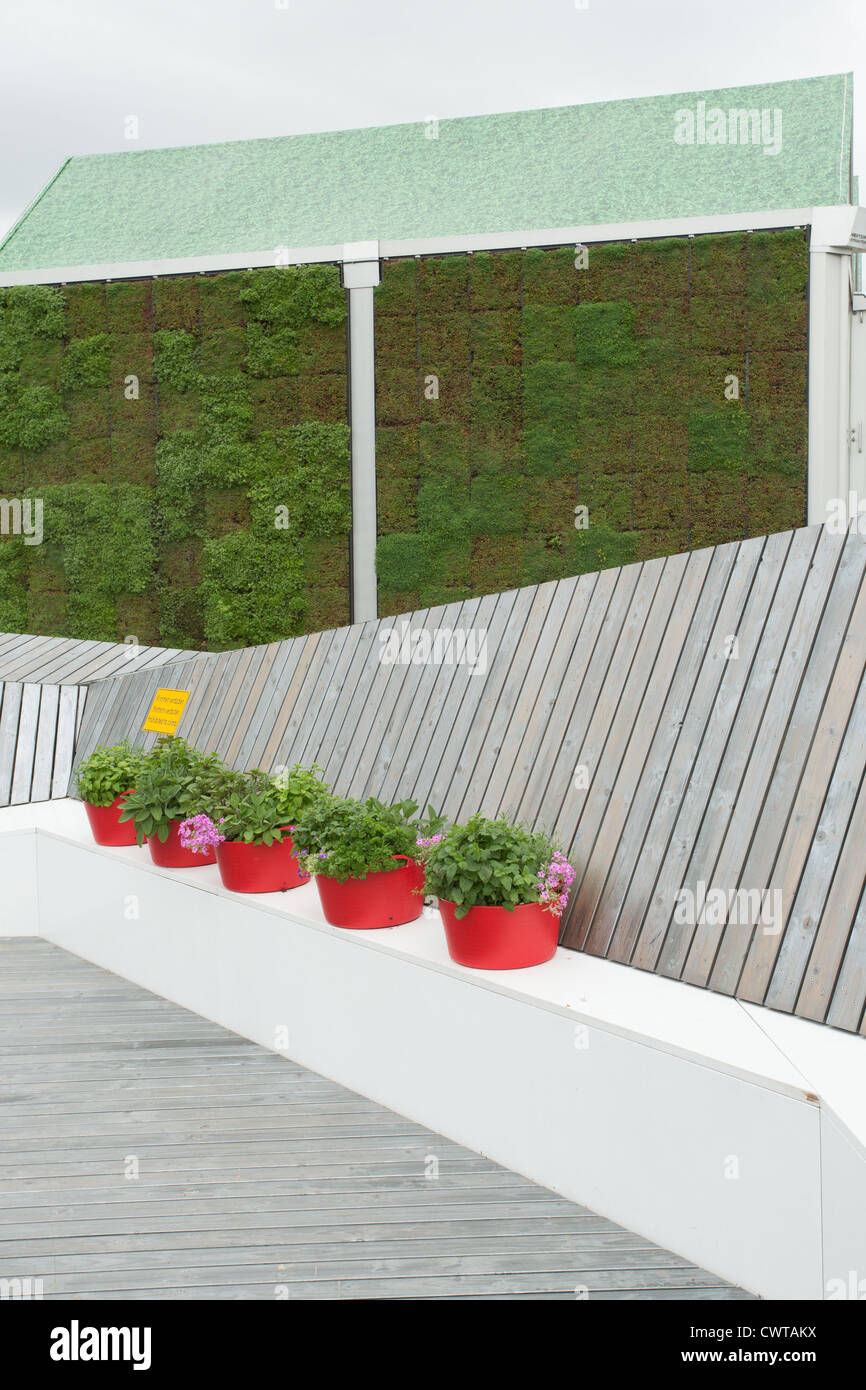 Wooden path, house with sods and potted plants Stock Photo - Alamy