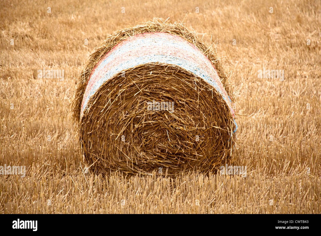 Round straw bales in the field, Hampshire, England, United Kingdom ...