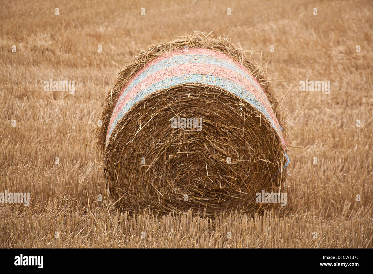 Round straw bales in the field, Hampshire, England, United Kingdom ...