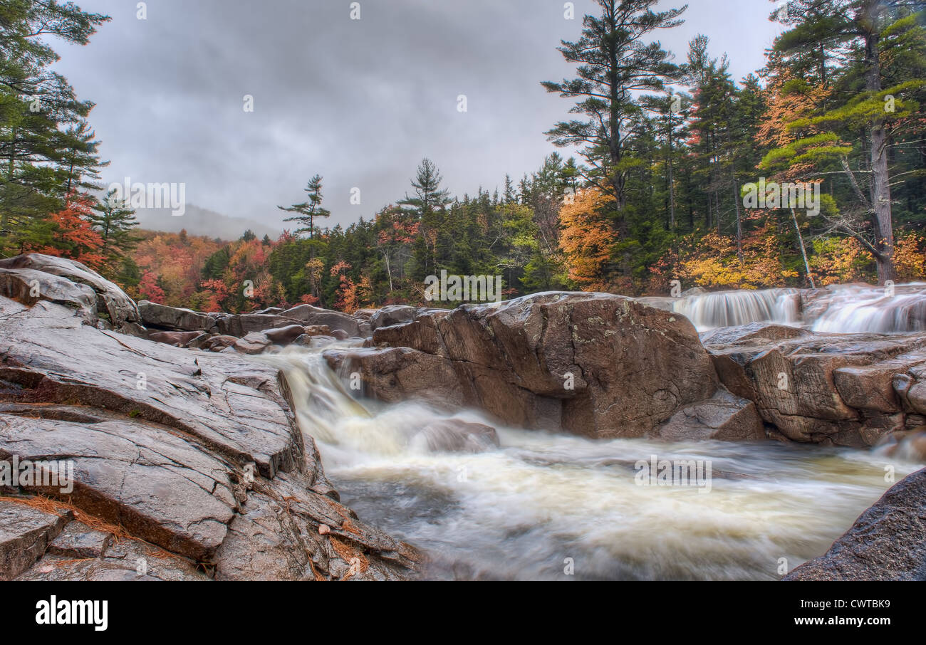 Swiftly hi-res stock photography and images - Alamy