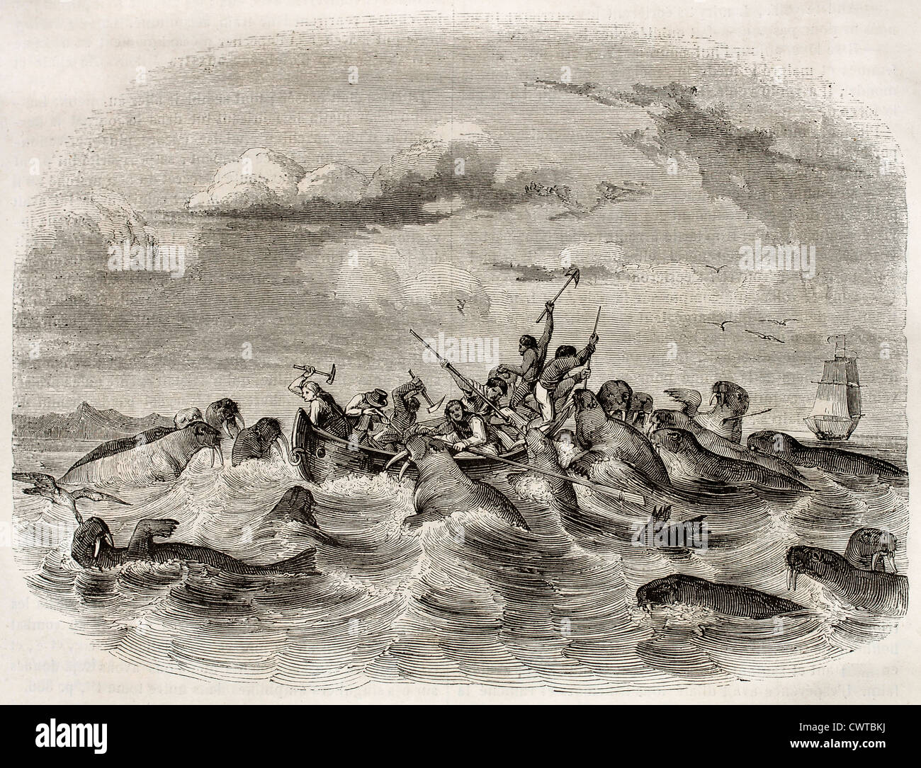Fighting sailor hi-res stock photography and images - Alamy