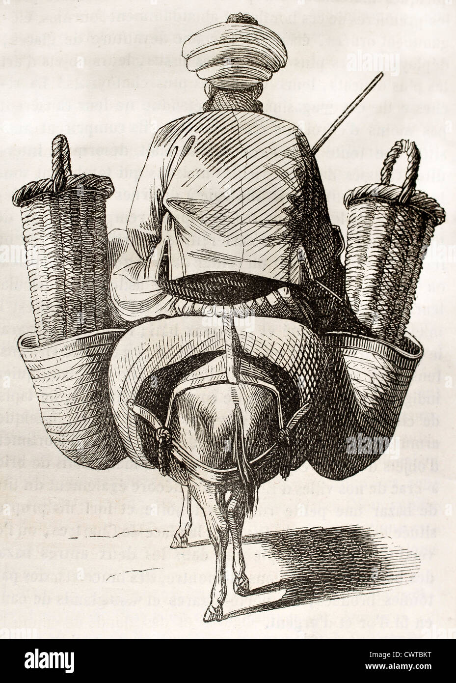 Donkey fig hi-res stock photography and images - Alamy