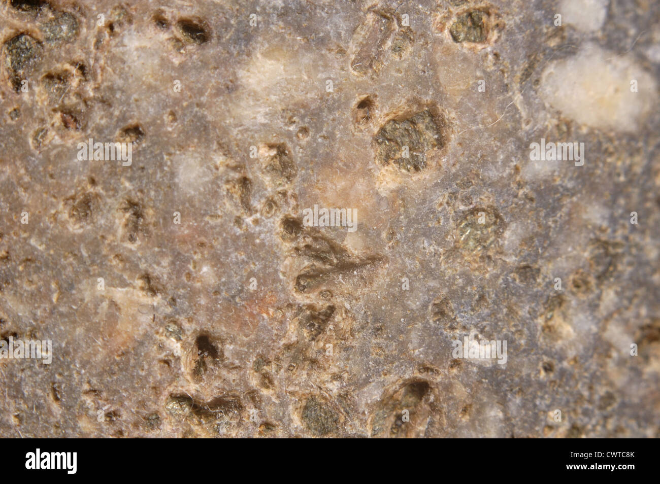 Close up detail of rock surface texture Stock Photo - Alamy