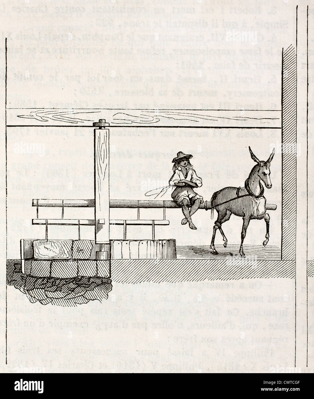 Millstone donkey hi-res stock photography and images - Alamy