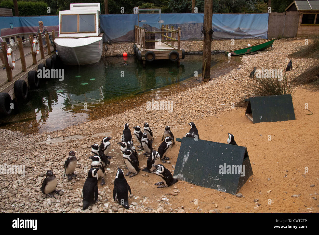 Birdworld, surrey hi-res stock photography and images - Alamy