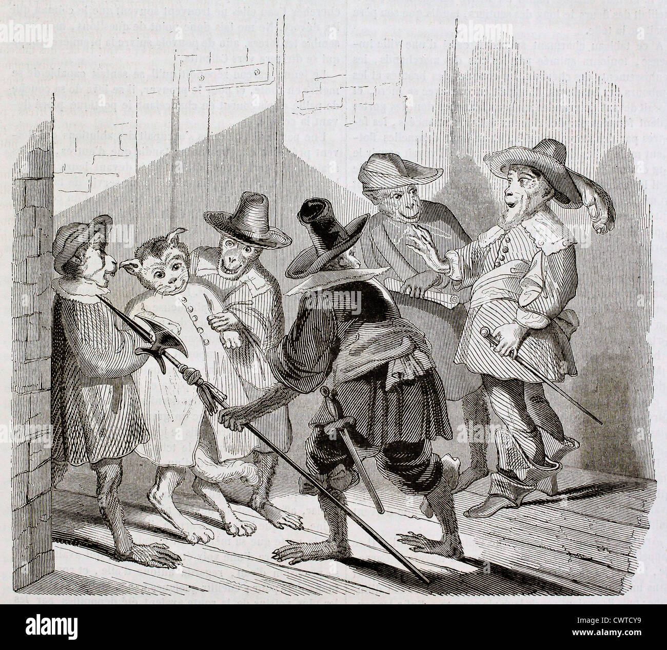 Animal humanized hi-res stock photography and images - Alamy