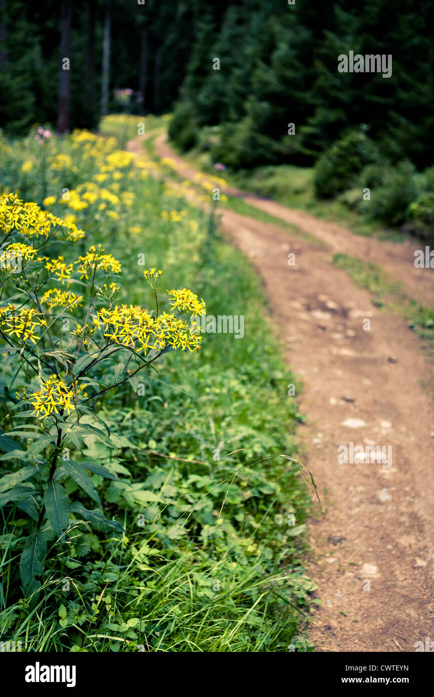Schiefergebirge hi-res stock photography and images - Alamy