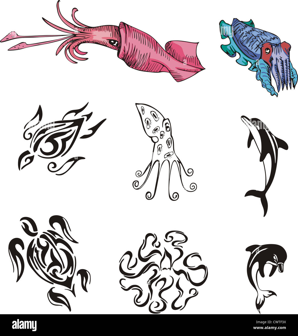 Sea life - turtles, dolphins, octopuses and squids Stock Photo - Alamy