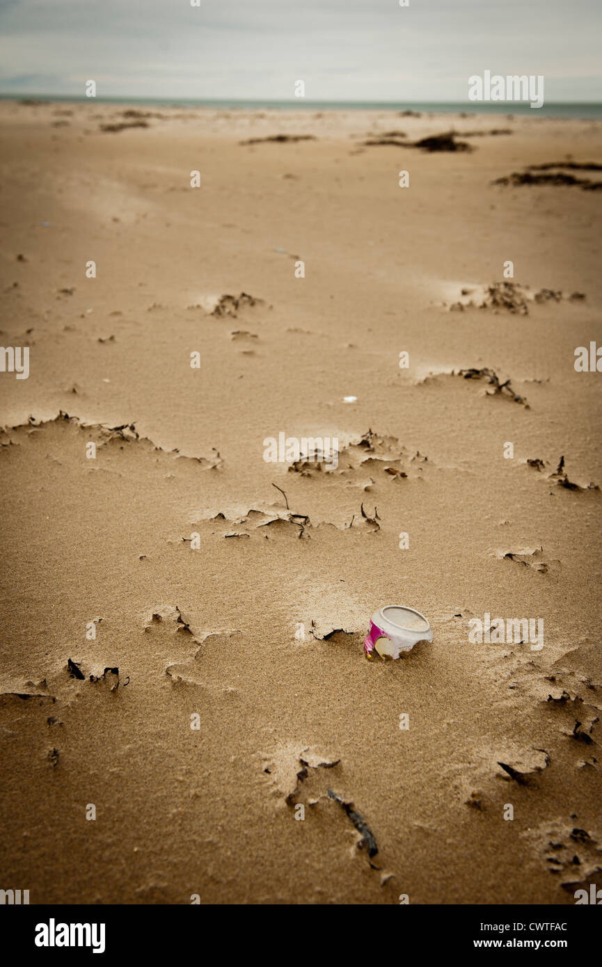 Wind swept Empty Beech. With distant horizon Stock Photo - Alamy