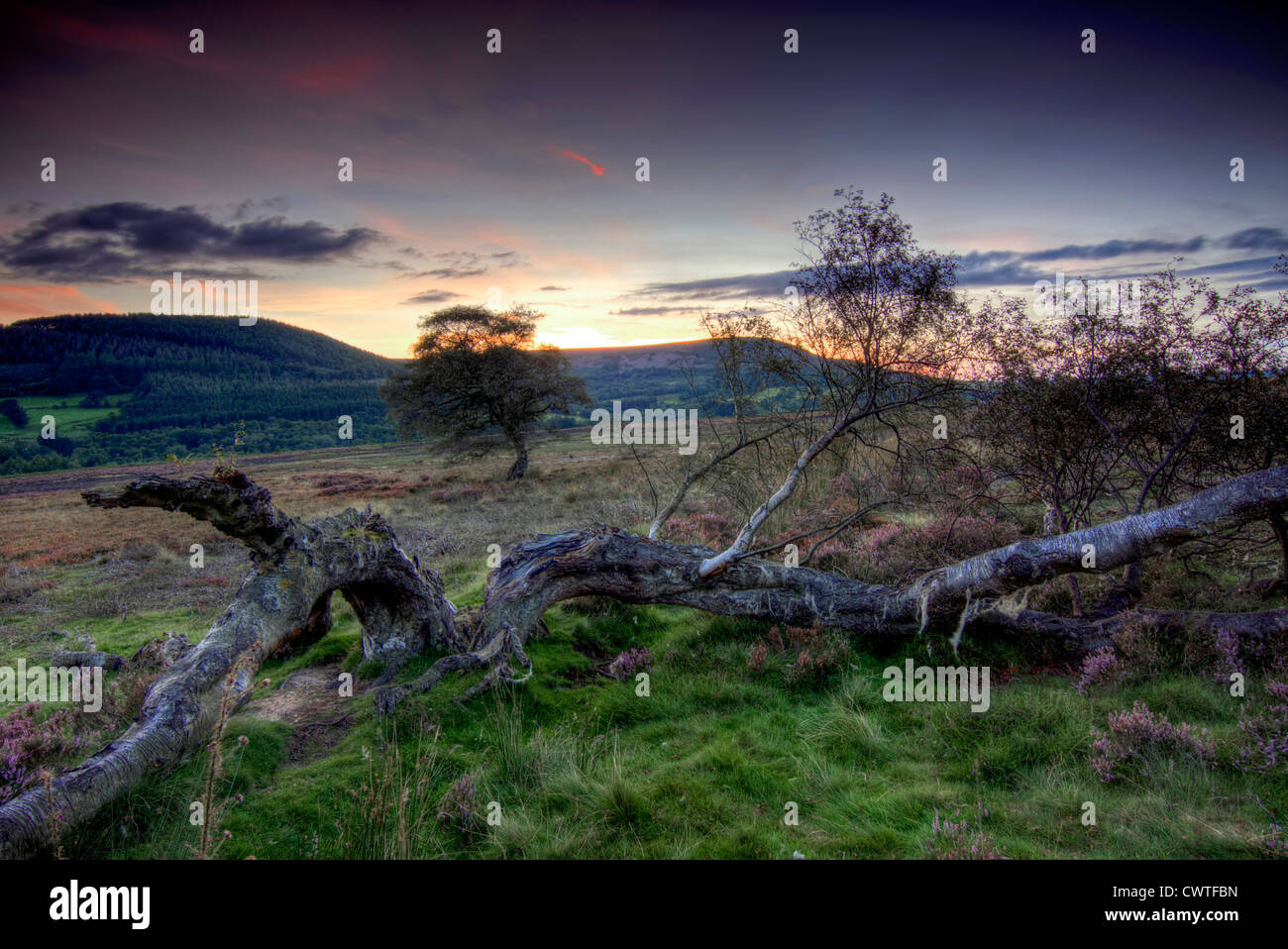 Sunset on moors hi-res stock photography and images - Alamy