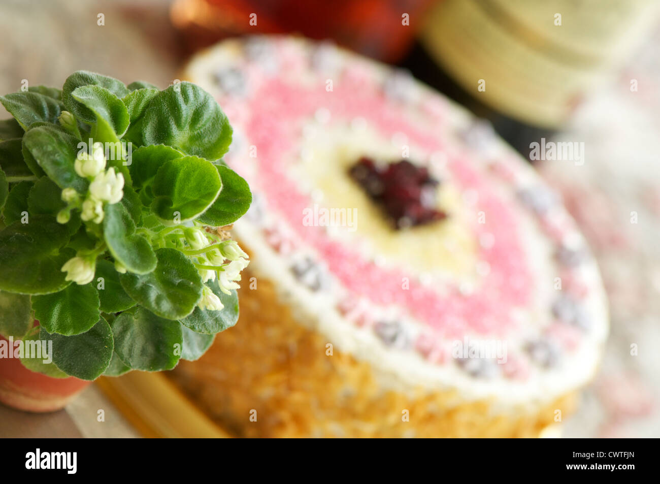 Vintage birthday cake hi-res stock photography and images - Alamy