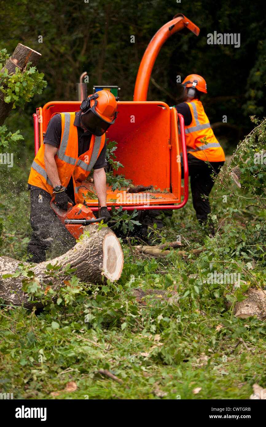 Forestry workers hi-res stock photography and images - Alamy