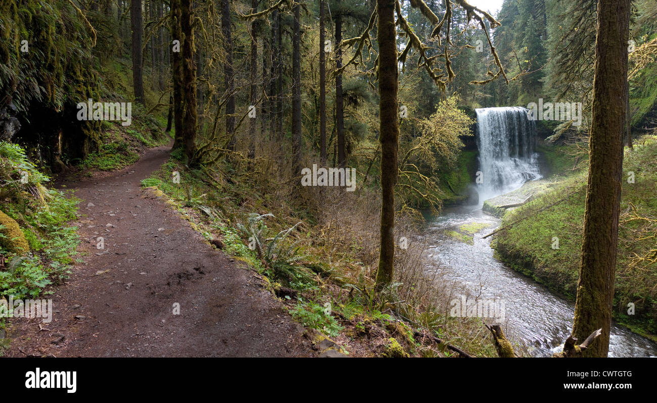 A panorama of Middle North Falls along the canyon trail in Silver Falls ...