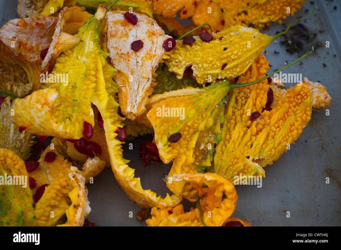 Melon seeds drying hi-res stock photography and images - Alamy