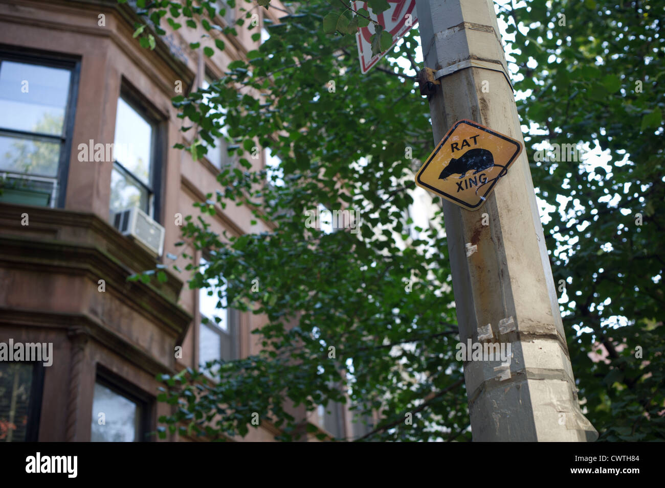 Signs for a rat crossing seen on a block in the Upper West Side ...