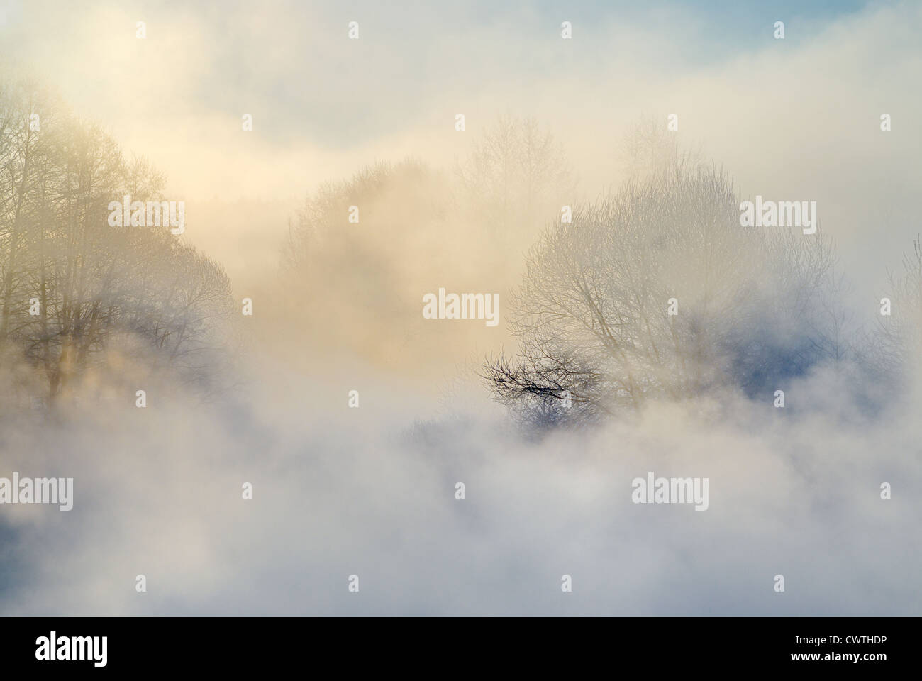 Early morning, strong cold, frosty a smoke Stock Photo - Alamy