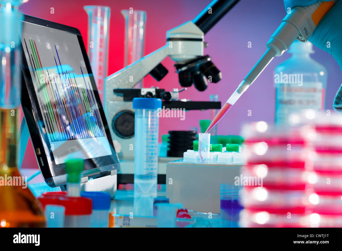 Analysis of the structure of the DNA molecule in the microbiology ...