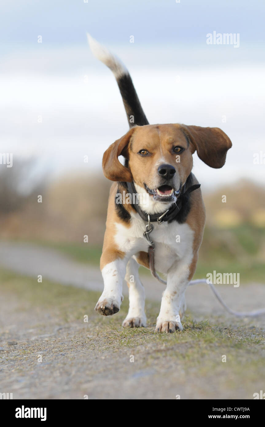 Setline hi-res stock photography and images - Alamy