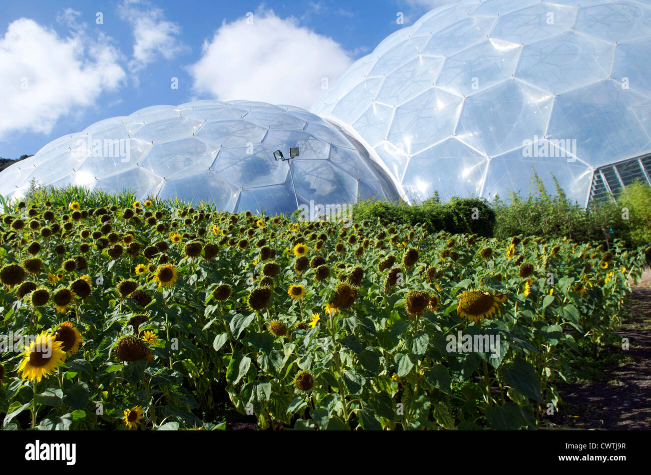 The Eden Project Stock Photo - Alamy