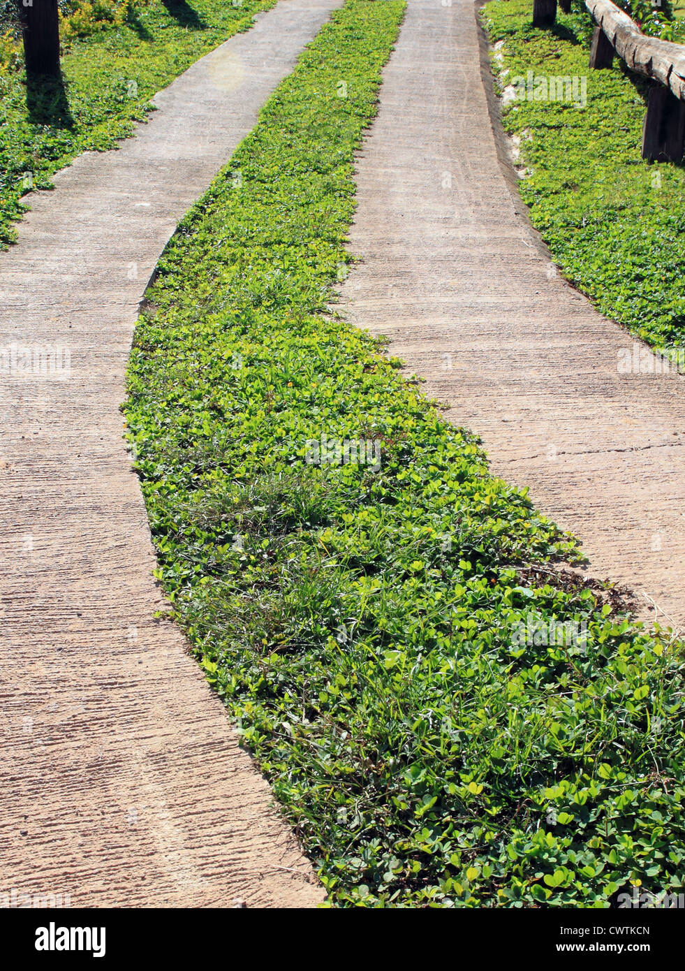 Park walk tiles floor hi-res stock photography and images - Alamy