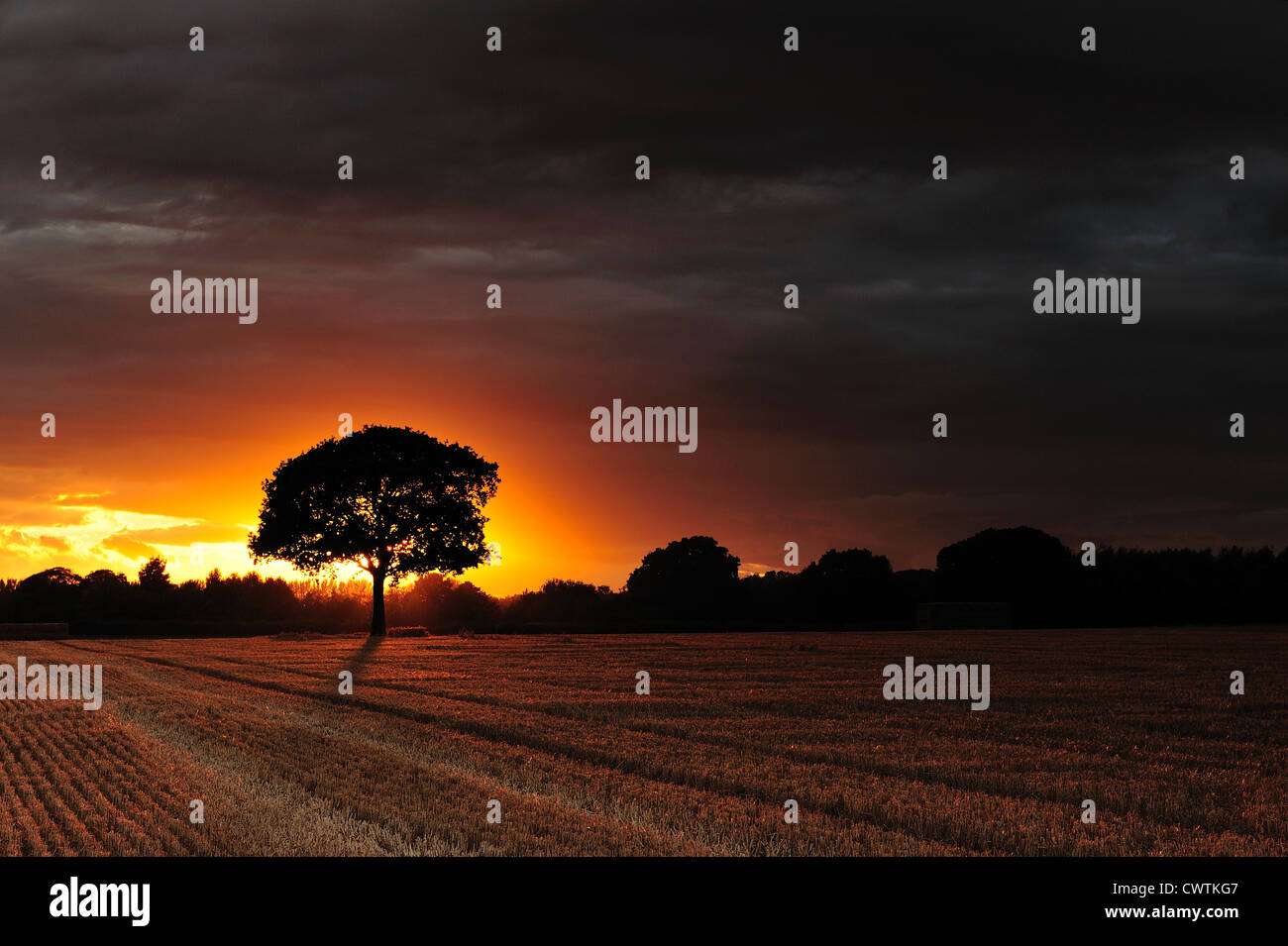 Meon valley hi-res stock photography and images - Alamy