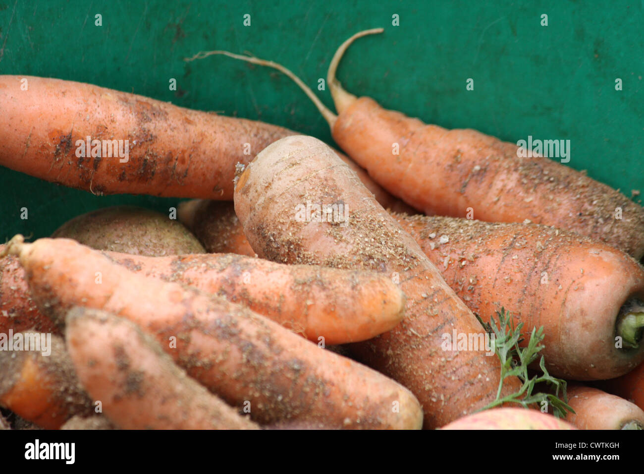 Unwashed hi-res stock photography and images - Alamy