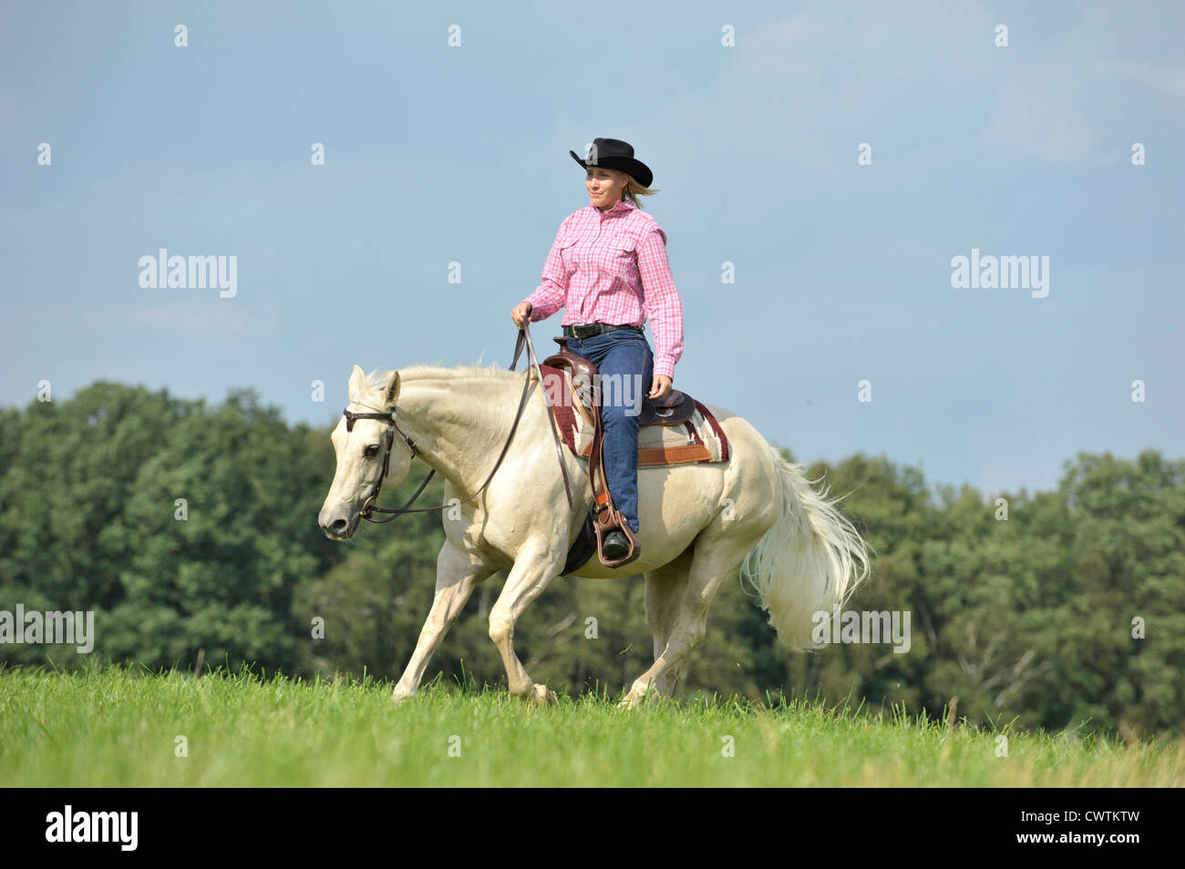 woman rides Quarter Horse Stock Photo - Alamy