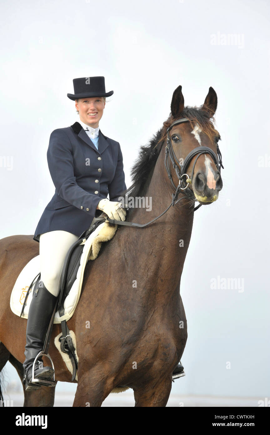 woman rides Holsteiner warmblood Stock Photo - Alamy