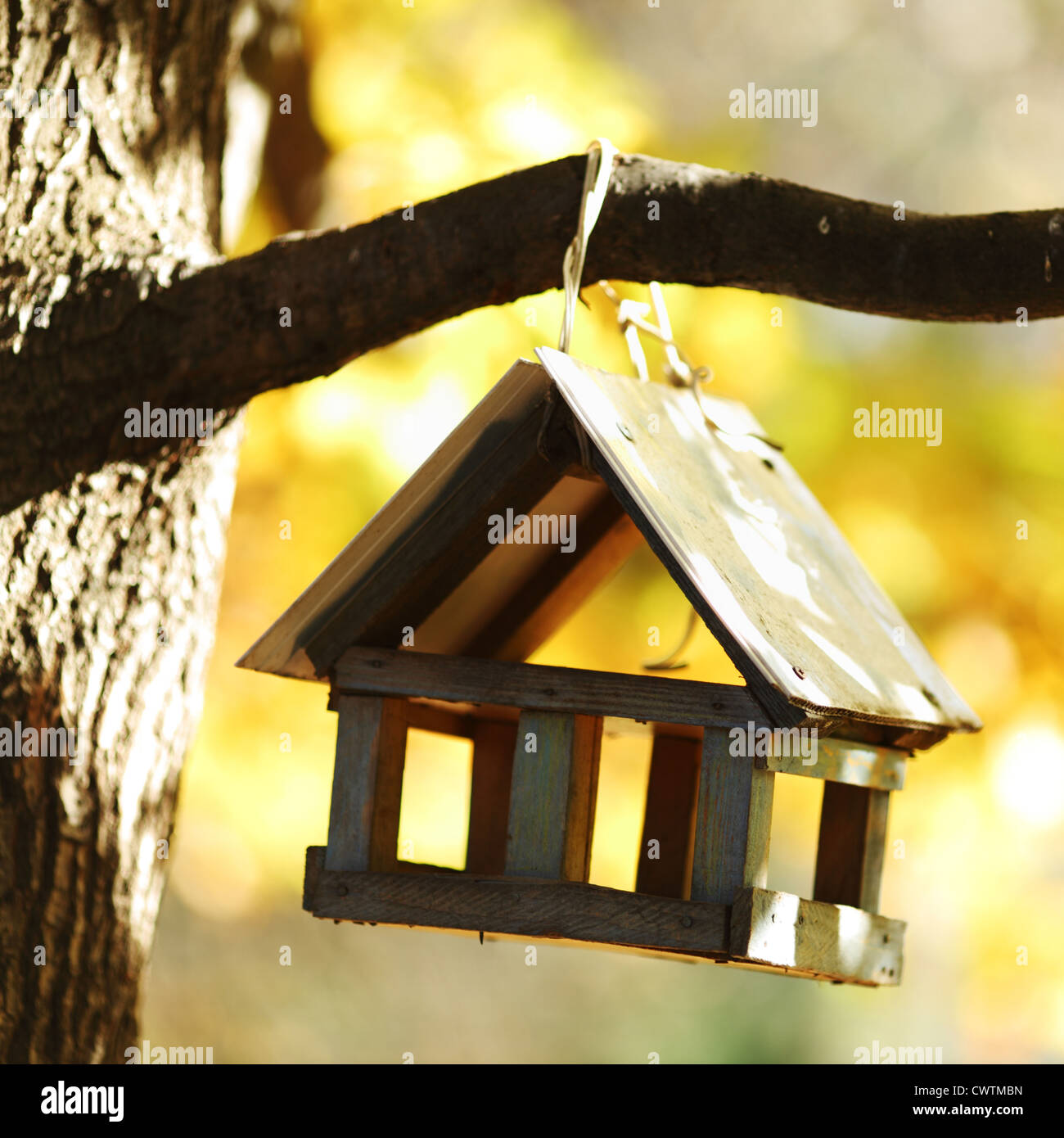 birdhouse in the autumn forest close up Stock Photo - Alamy
