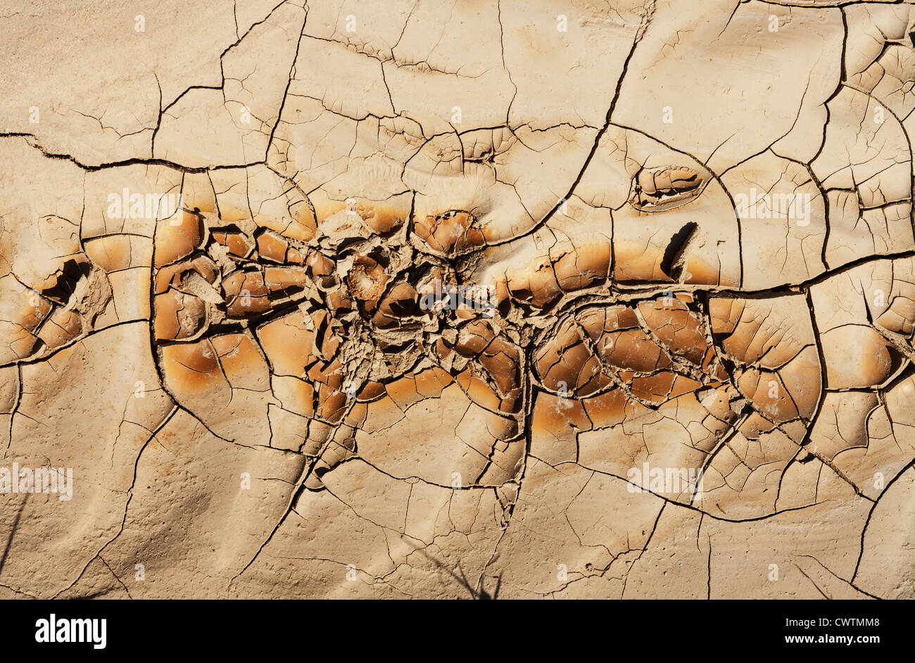 A drying patch of still moist mud in Badlands National Park, South ...