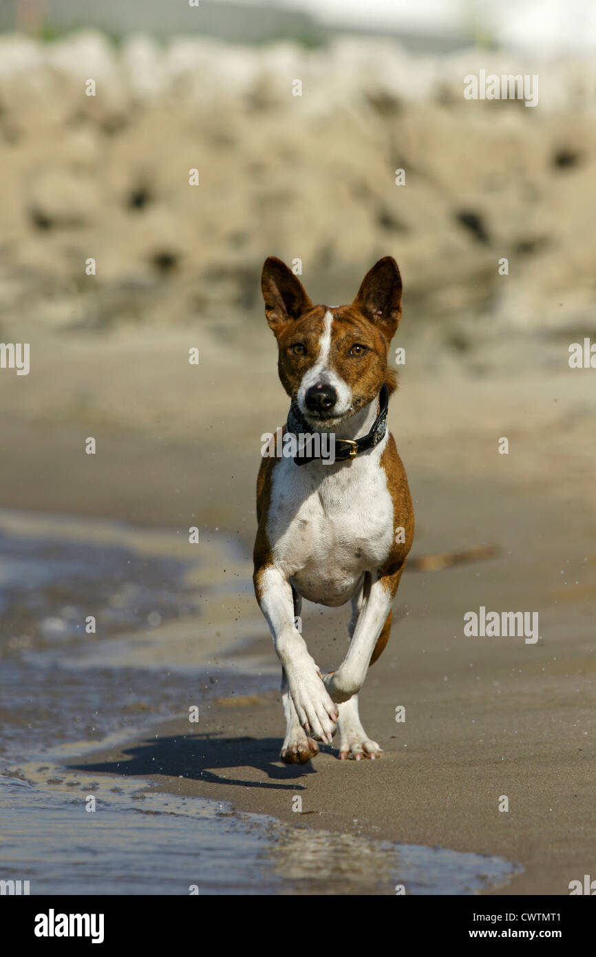 Middle congo river hi-res stock photography and images - Alamy