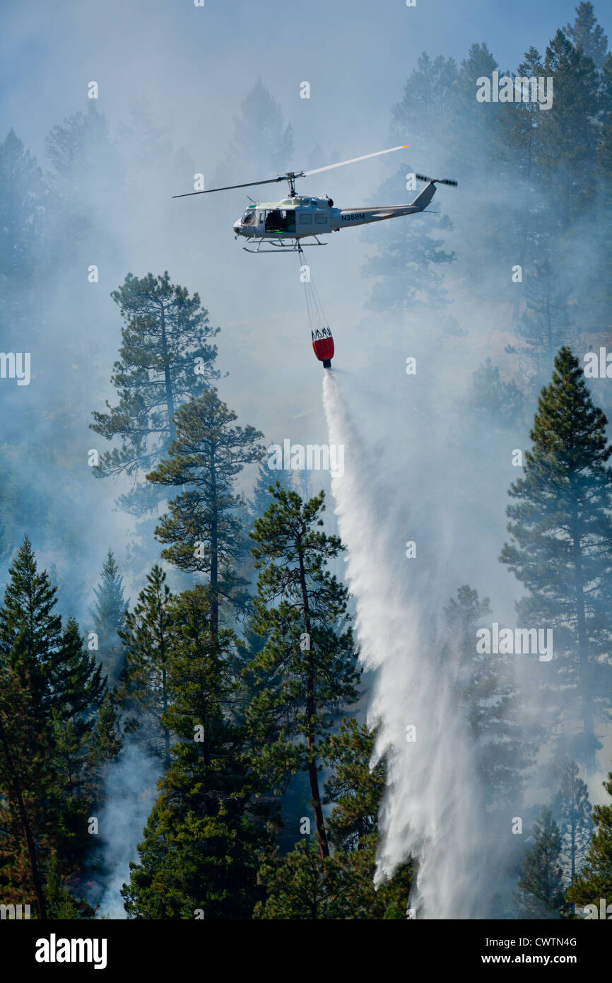 A firefighting helicopter drops water on a forest fire in western ...