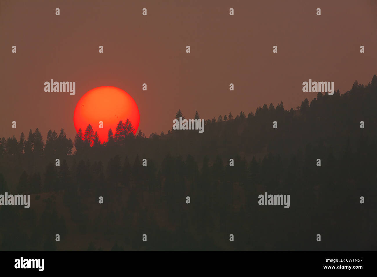 sunset seen through forest fire smoke Stock Photo - Alamy