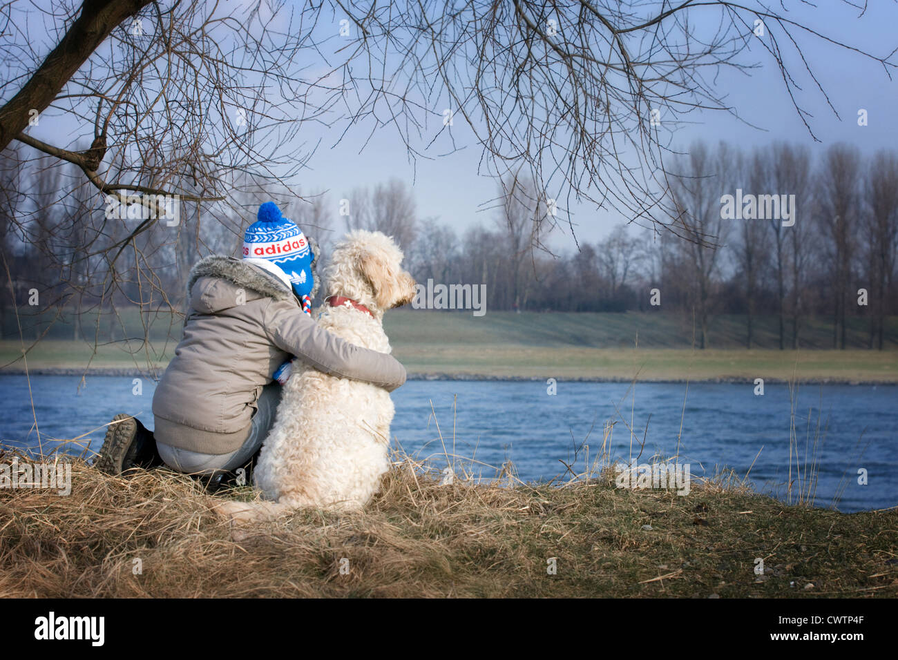 human and Goldendoodle Stock Photo - Alamy