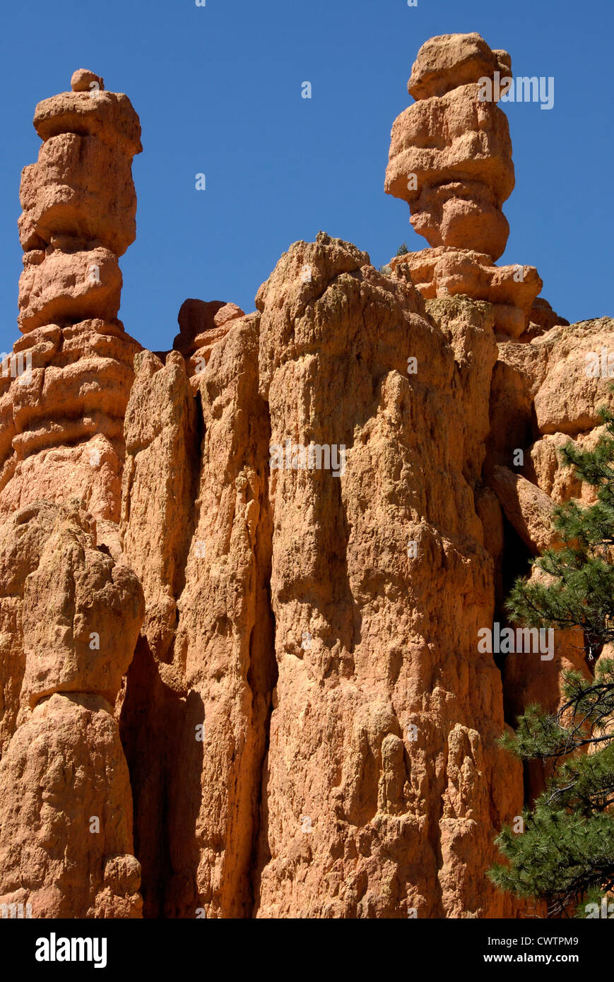 Dixie canyon hi-res stock photography and images - Alamy