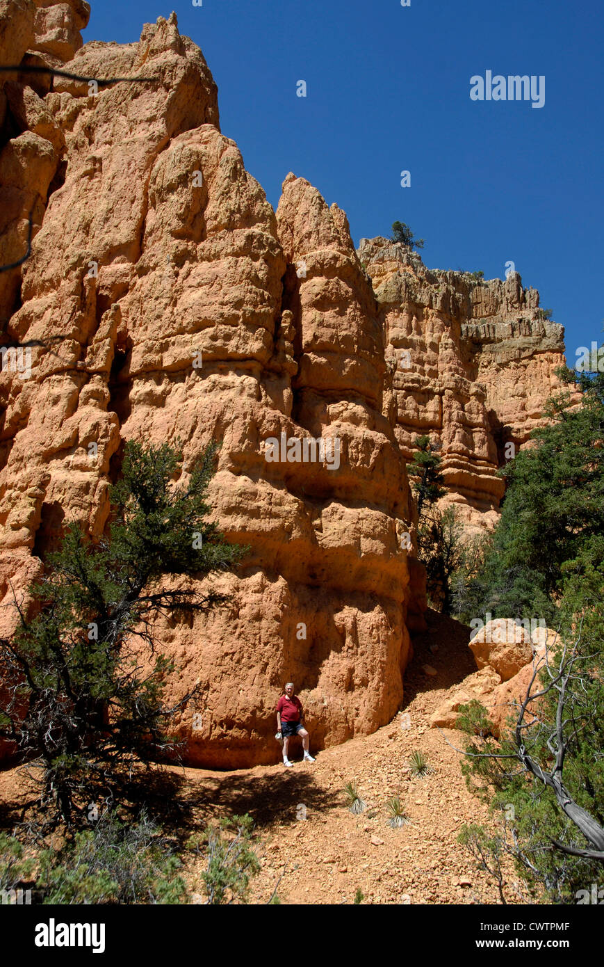 Red Canyon, Dixie National Forest, Utah Stock Photo - Alamy