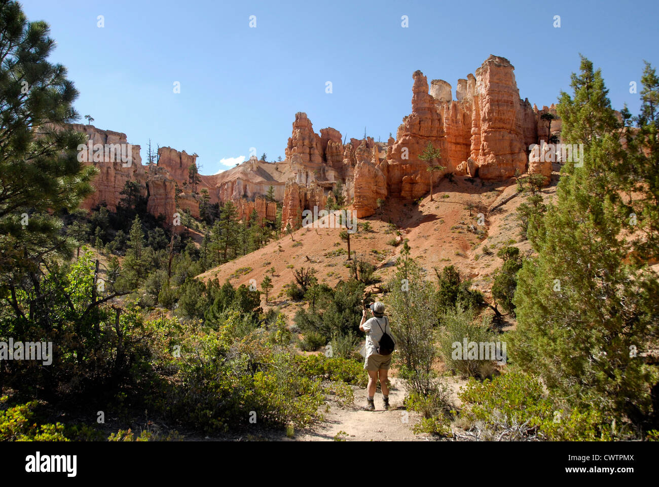 Mossy Cave Trail in Bryce National Park, Utah Stock Photo - Alamy