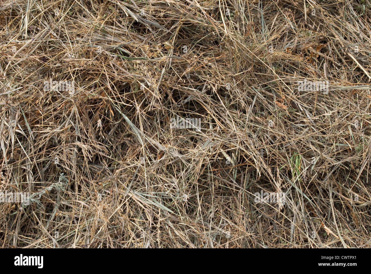 Hay Texture High Resolution Stock Photography and Images - Alamy