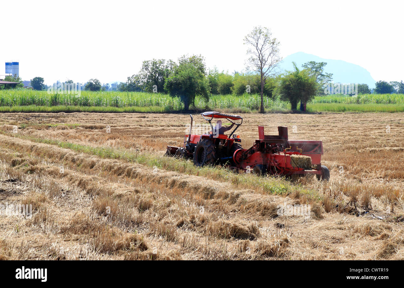 farmer and tractor packing straw in the field at Thailand Stock Photo ...