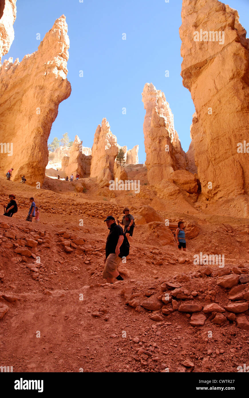 Hiking in Bryce Canyon National Park, Southwestern Utah Stock Photo - Alamy
