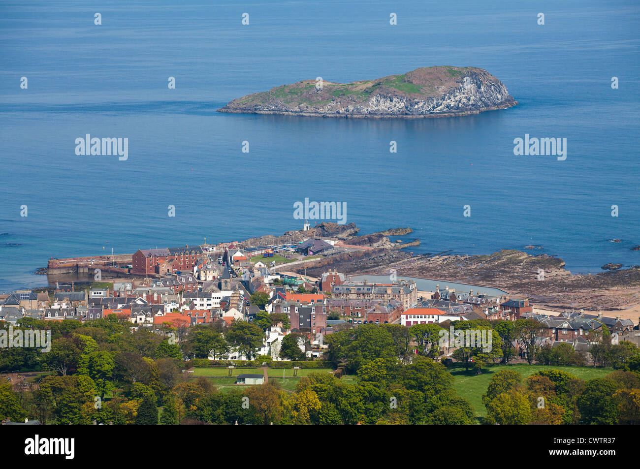 Craigleith Island Stock Photos & Craigleith Island Stock Images - Alamy
