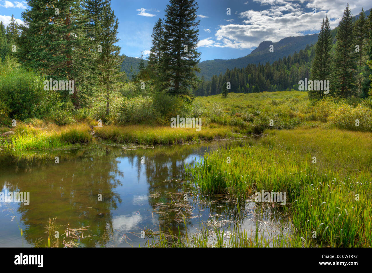 Beaver Ponds High Resolution Stock Photography and Images - Alamy