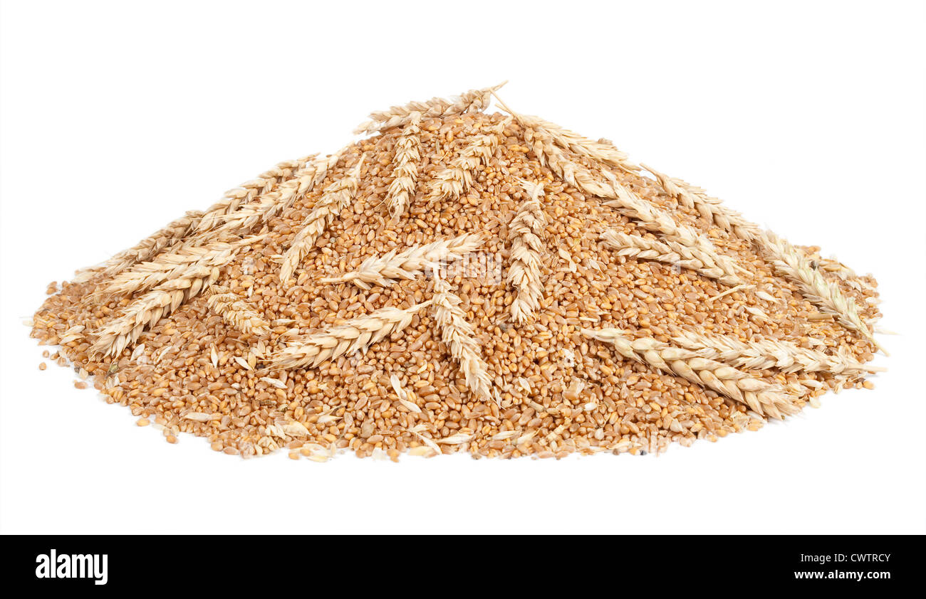 Pile of wheat grains Stock Photo - Alamy