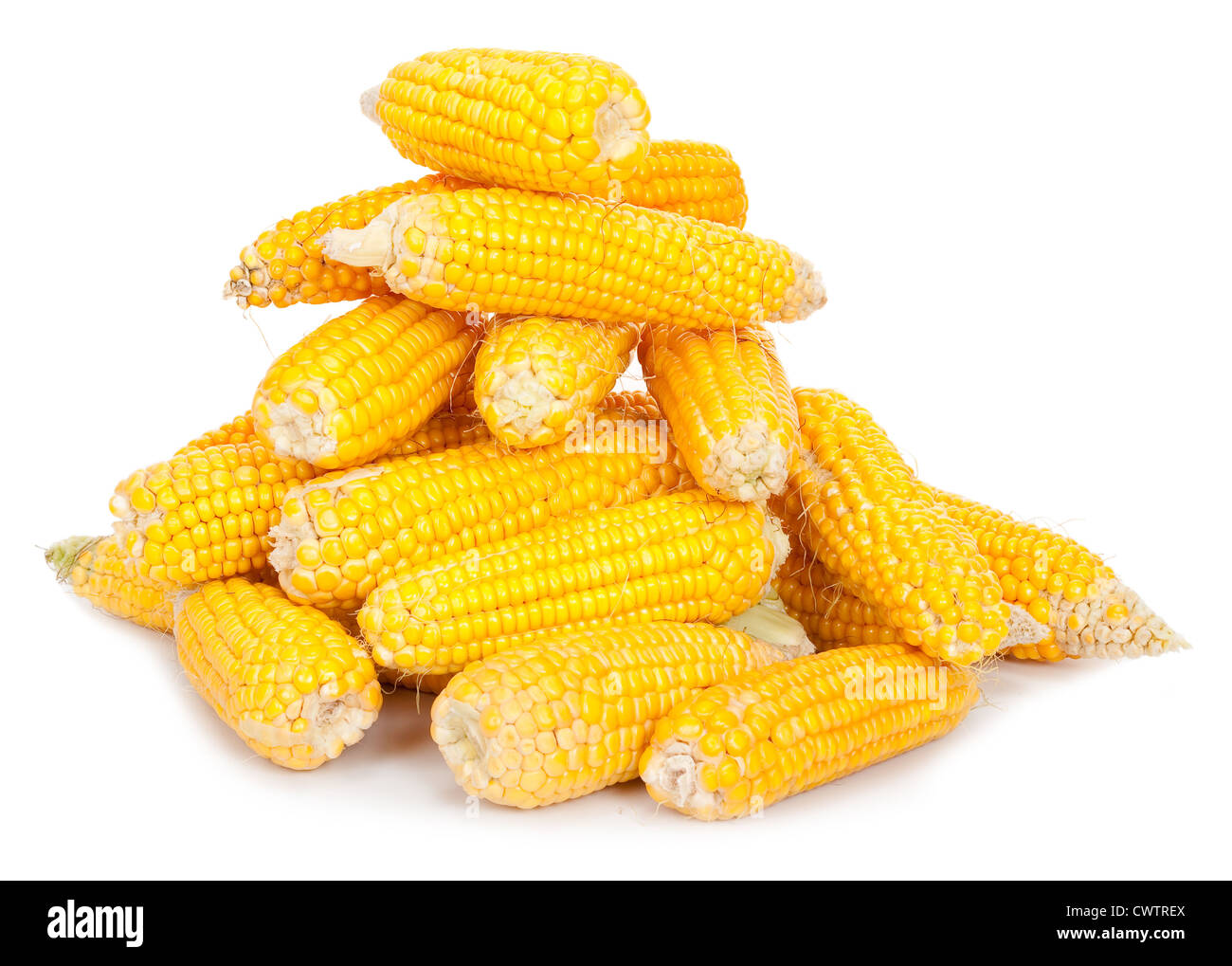 Corn agriculture detail Cut Out Stock Images & Pictures - Alamy