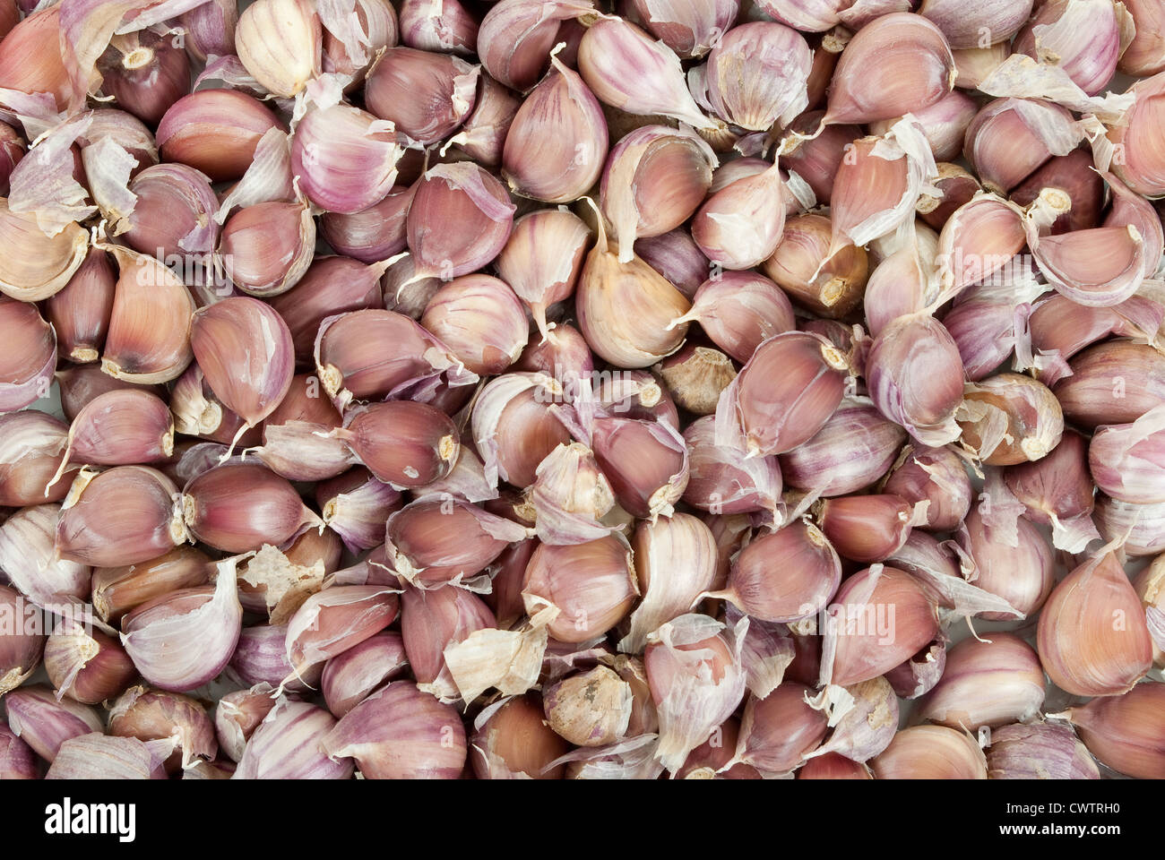 Cloves of garlic Stock Photo - Alamy