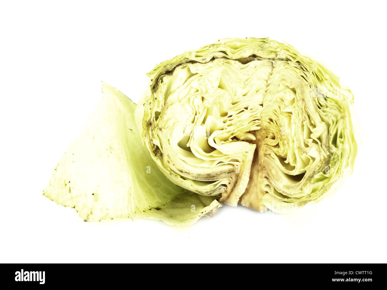 cabbage cut in half on white Stock Photo - Alamy