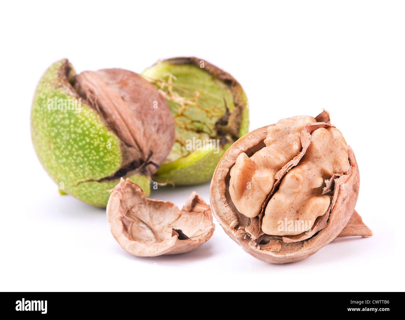 Walnut closeup on white background Stock Photo - Alamy