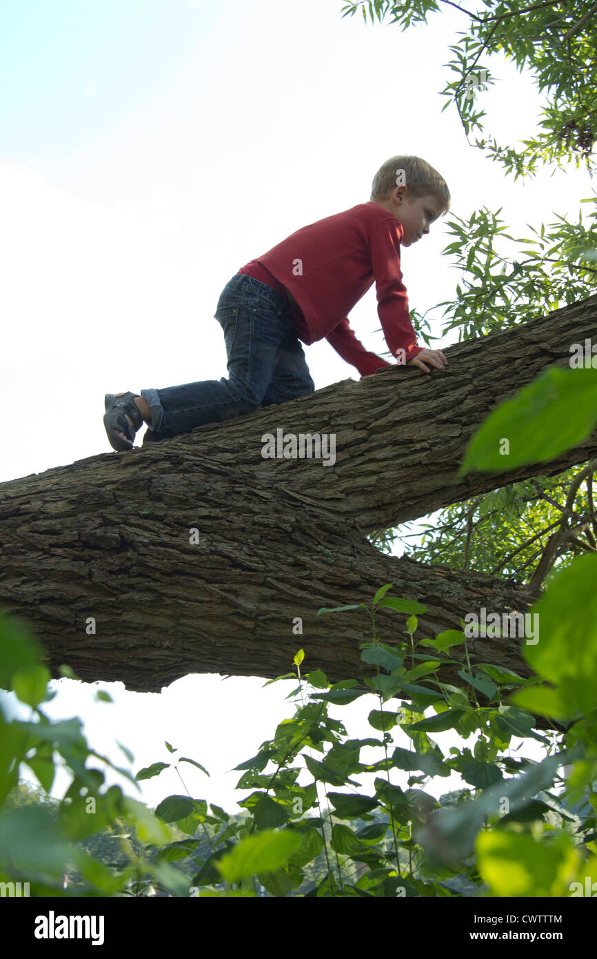 young boy crawling along a fallen tree Stock Photo - Alamy